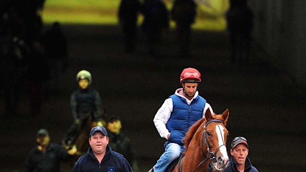 Timed for a Sight to behold