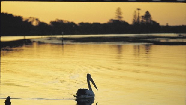 Taree, New South Wales: Travel guide and things to do