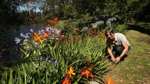 The hill is alive with history