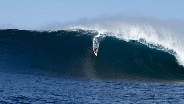 Twelve-metre monster returns $5000 for WA surf legend Camel