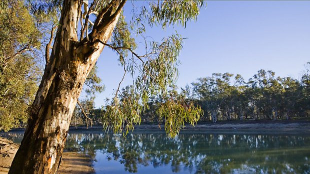 Yea, Victoria: Travel guide and things to do