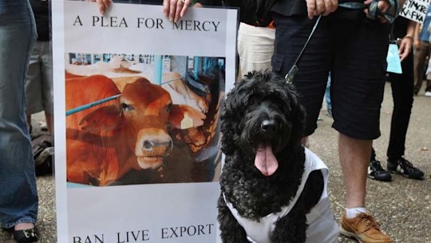 Protest against live export regulations