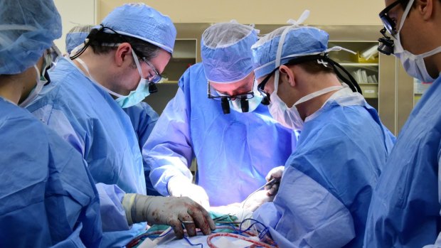 A gunshot destroyed her face. Rare transplant surgery has given her a ...