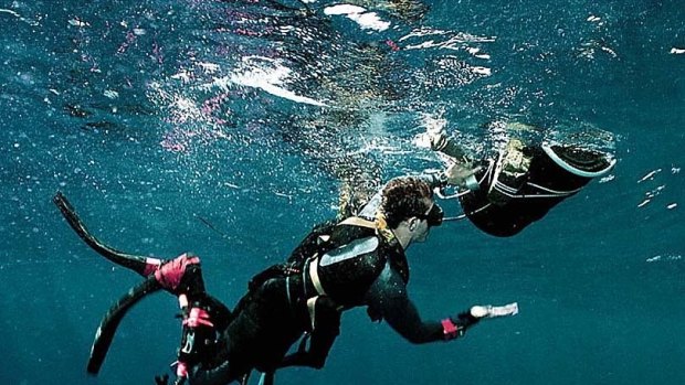 Diving day job not for the faint of heart