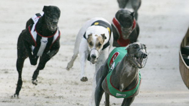 Raiders ready for the battle of Bulli