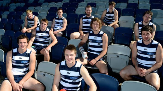 Young Cats, old Cats the perfect mix