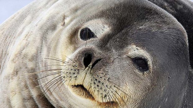 Human Planet, Sunday, May 1