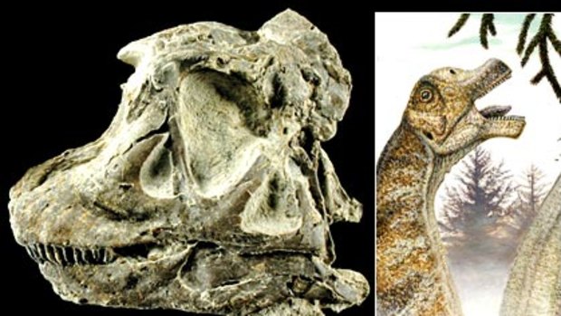 Blast from the past: explosives unearth new species of dinosaur