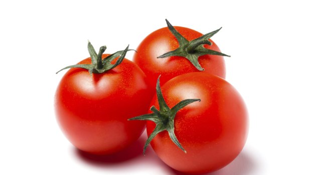 Sundrop gets $100m injection from KKR to grow tomatoes in SA desert