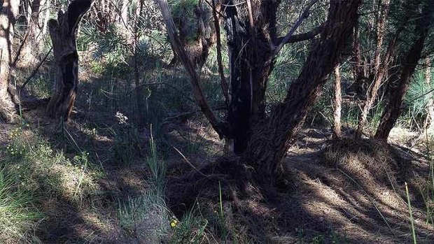 Key evidence missed for months: Rayney trial