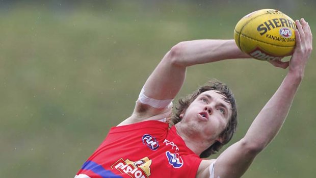 Dogs start anew as Cordy, Tutt to debut