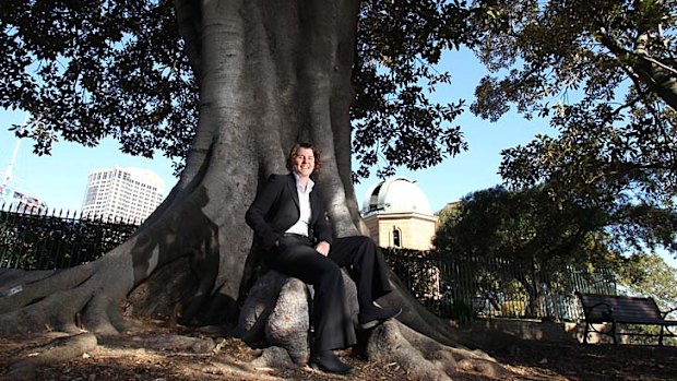 Rooted in history, Sydney celebrates its favourite trees