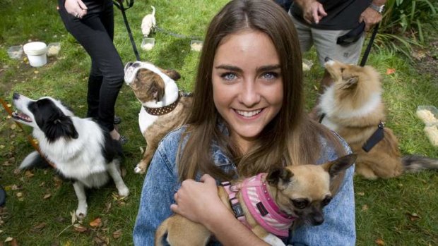 Lead actors collared at Legally Blonde canine casting call