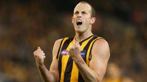 Hawthorn ruckman David Hale presses for a senior recall