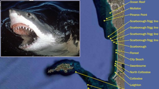 Satellites to track sharks along WA coast