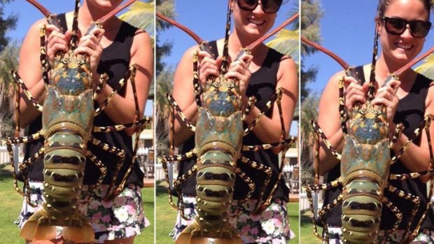 Just another cray in WA brings in impressive catch