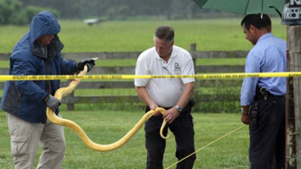 Escaped pet snake strangles child to death