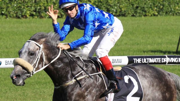 Harvey wants Reliable Man for NZ posting