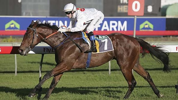 Spriggs has feet firmly on ground for city mission