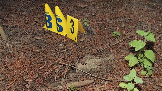 Daniel Morcombe murder trial: no bones found where alleged killer led ...