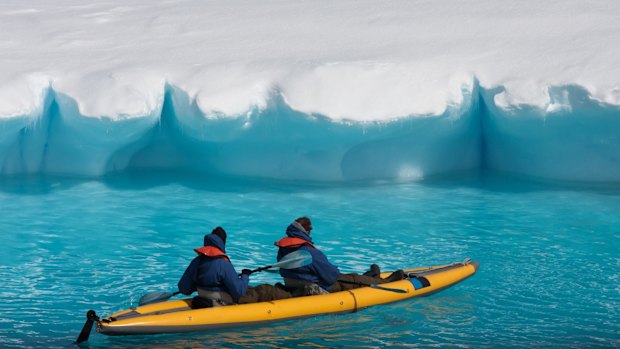 Antarctica versus the Arctic cruise holidays: What you'll see in the ...