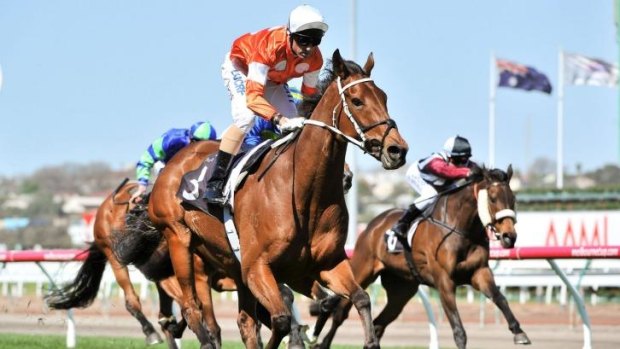 Chris Waller hopes Lloyd Williams can help solve Cups conundrum for Who ...