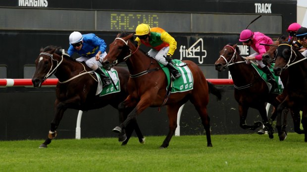 Grafton boss Michael Beattie out for miracle win on the carnival's ...