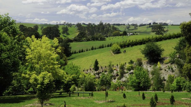 Six reasons to visit Neerim South