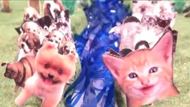 Fur flies over Tropfest winner Animal Beatbox