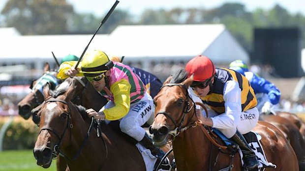 Connections to push on to Melbourne Cup with Ruscello