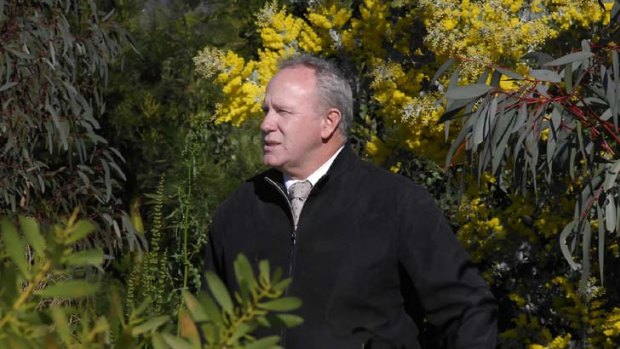All treed up, ready to grow - the man who wants to green Holroyd
