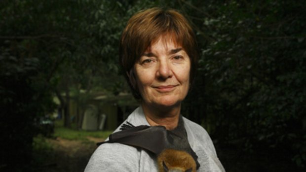 Cute, endangered and legal to shoot