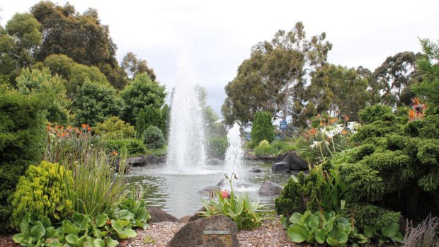 New life for the city of the dead