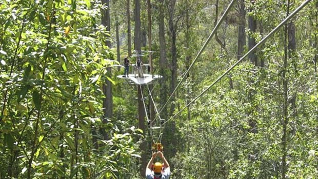 Victoria's newest tourist attraction zips into action