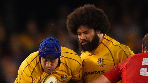 Nathan Sharpe available for Rugby Championship