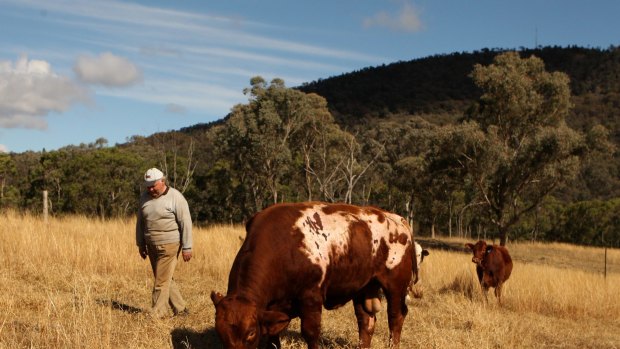 Three years after national park bushfire property owners seeking compo