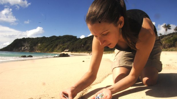 Seabirds pay the ultimate price for plastic pollution