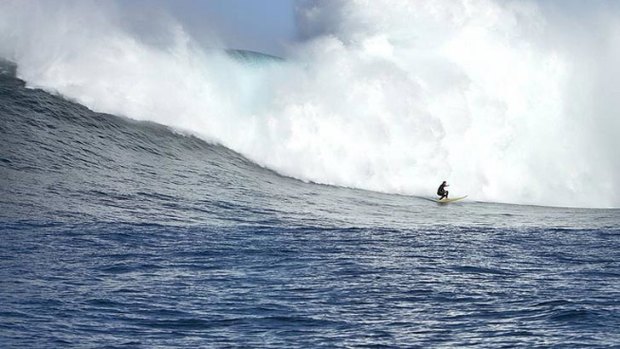 Twelve-metre monster returns $5000 for WA surf legend Camel