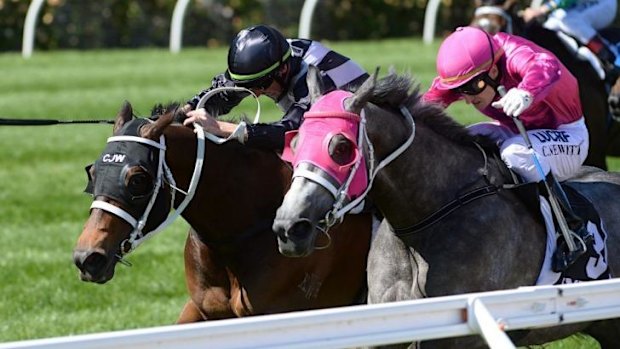 Tattersall's Tiara set to cap group 1 season for trainer Chris Waller
