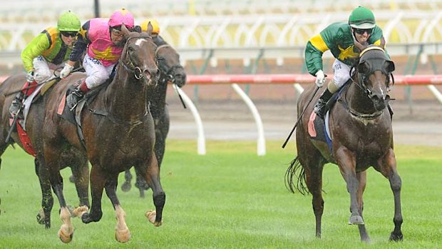 Owner Neil Werrett's magic touch continues as Snitzerland wins Black ...