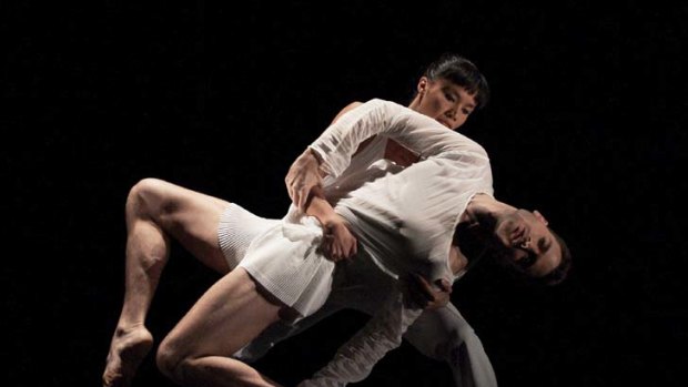 The signs said: stop-go, yes-no, maybe