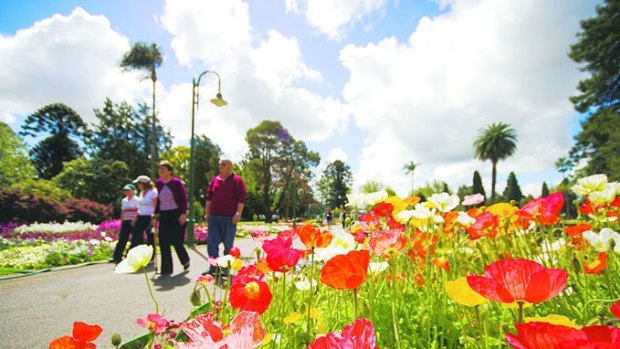 Ten things to do at the Toowoomba Carnival of Flowers