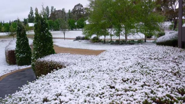 Weather set to turn wild in Sydney as snow falls across NSW