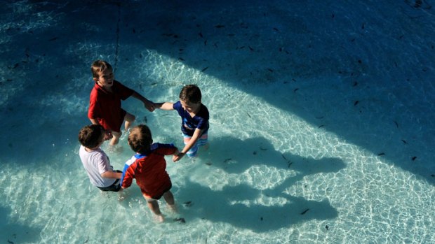 Shade sails over pools 'may only provide partial protection' for children