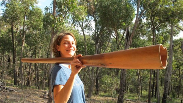 In search of harmony