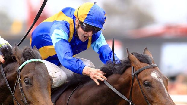 Colt to prove the real deal in Derby