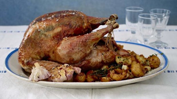 A thoroughly modern turkey