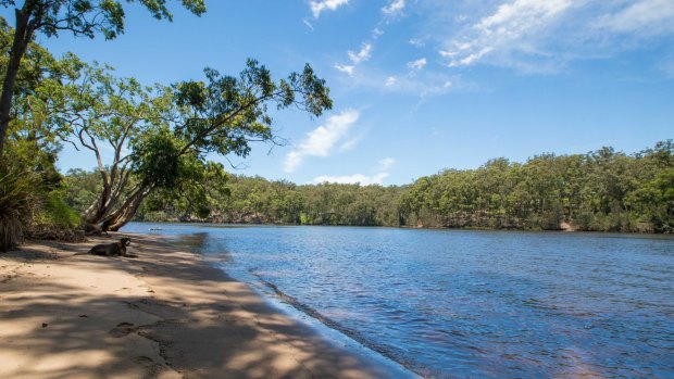 Nelligen, New South Wales: Travel guide and things to do