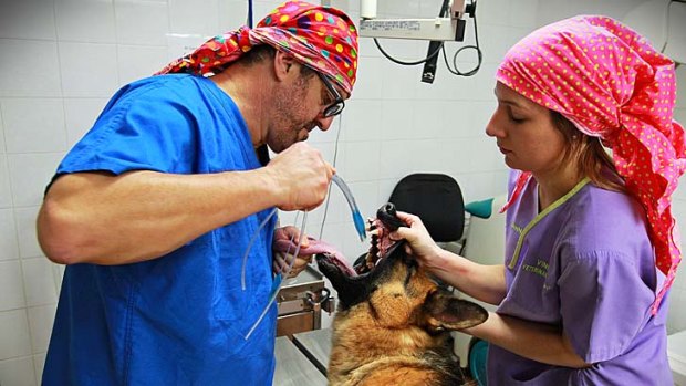 Choice urges vets to dump high fees and unnecessary charges