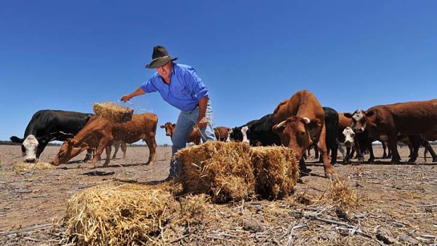 Weather: Farmers feel the heat as drought advances